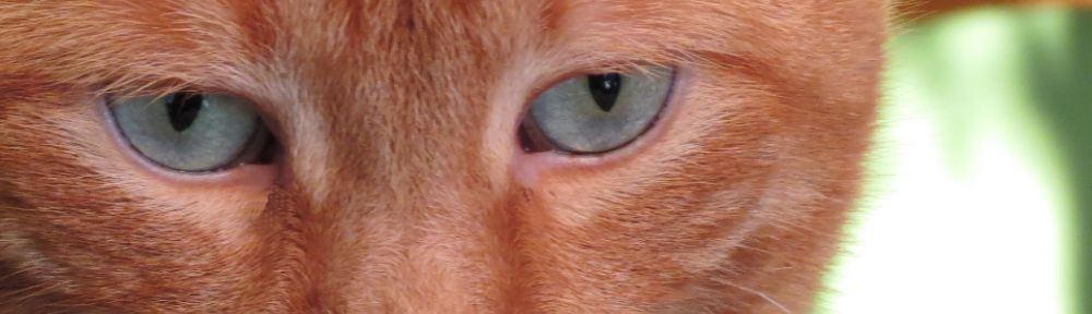 diego_02.jpg – Scripturient