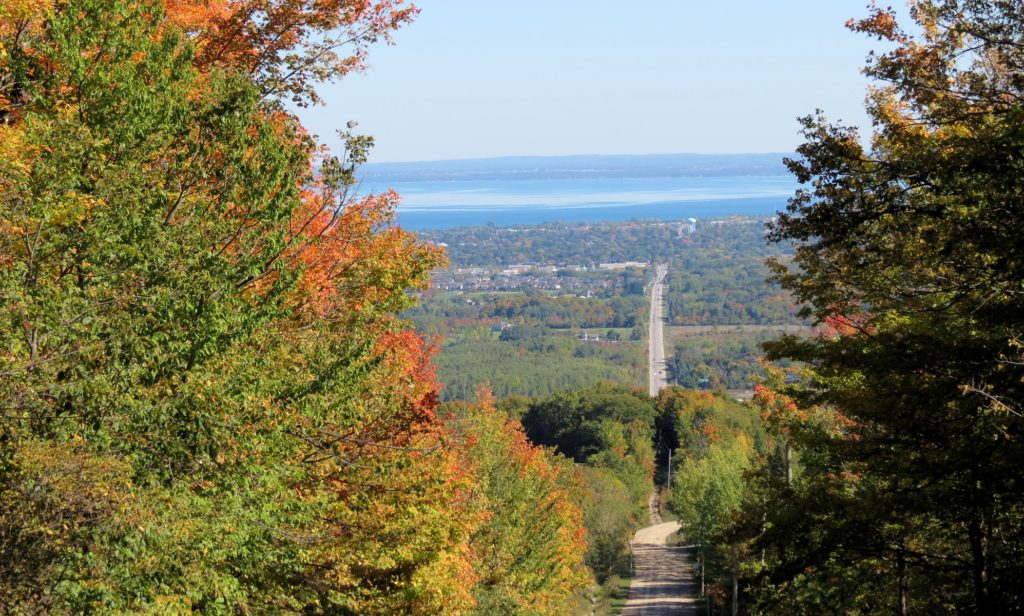 Landscape2 – Scripturient