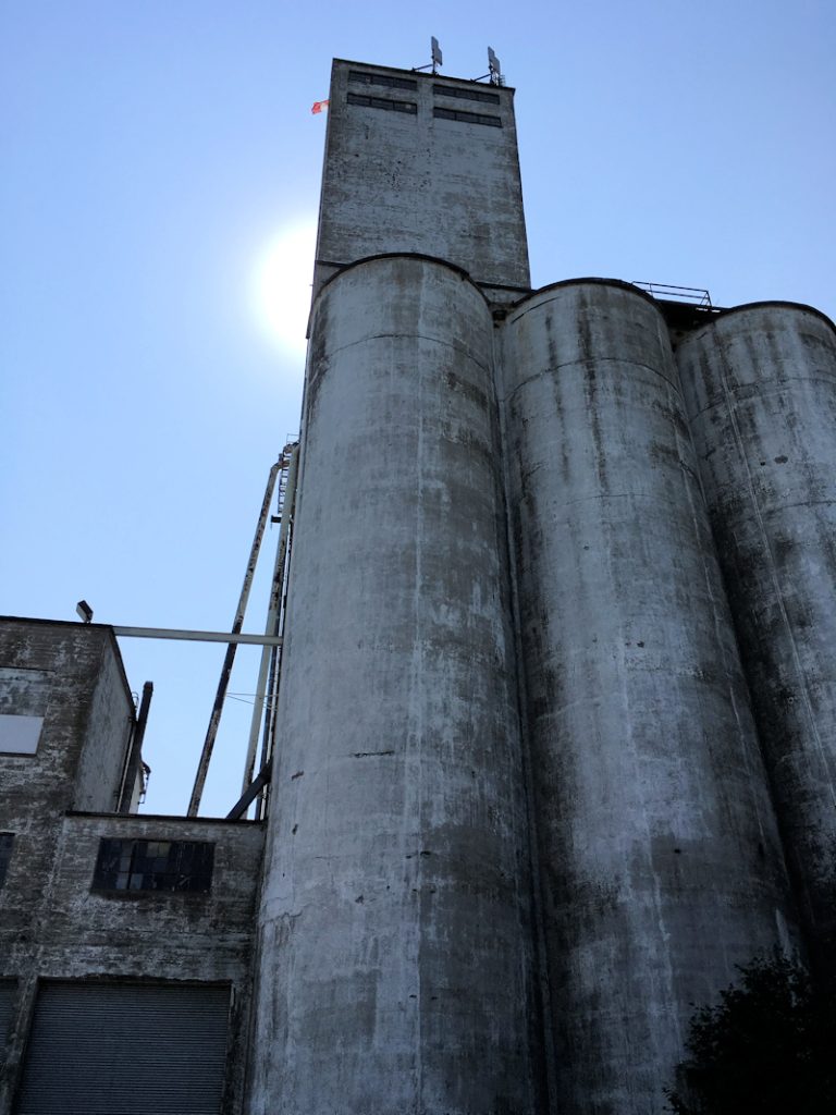 terminals_02 – Scripturient