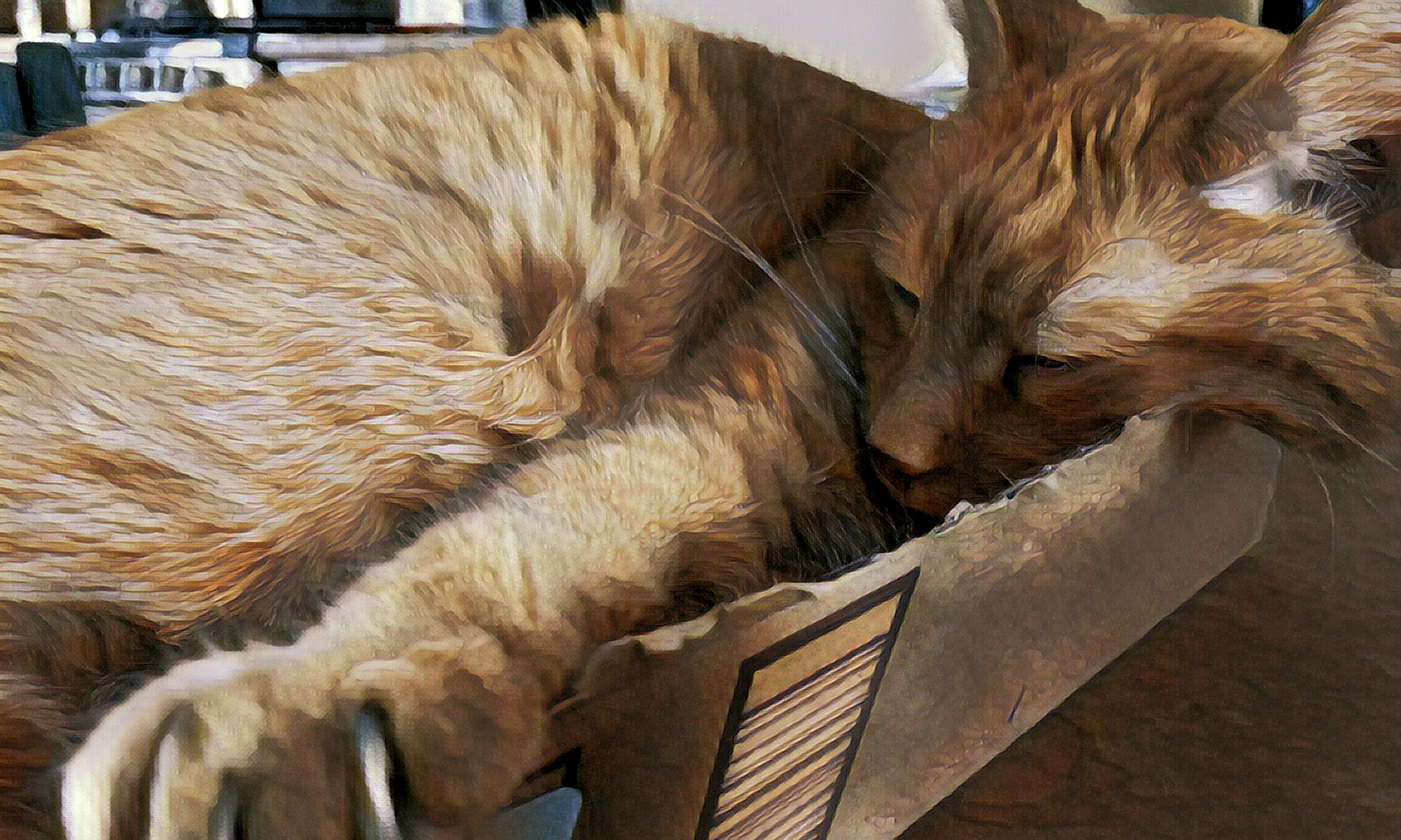 diego_in_bed – Scripturient