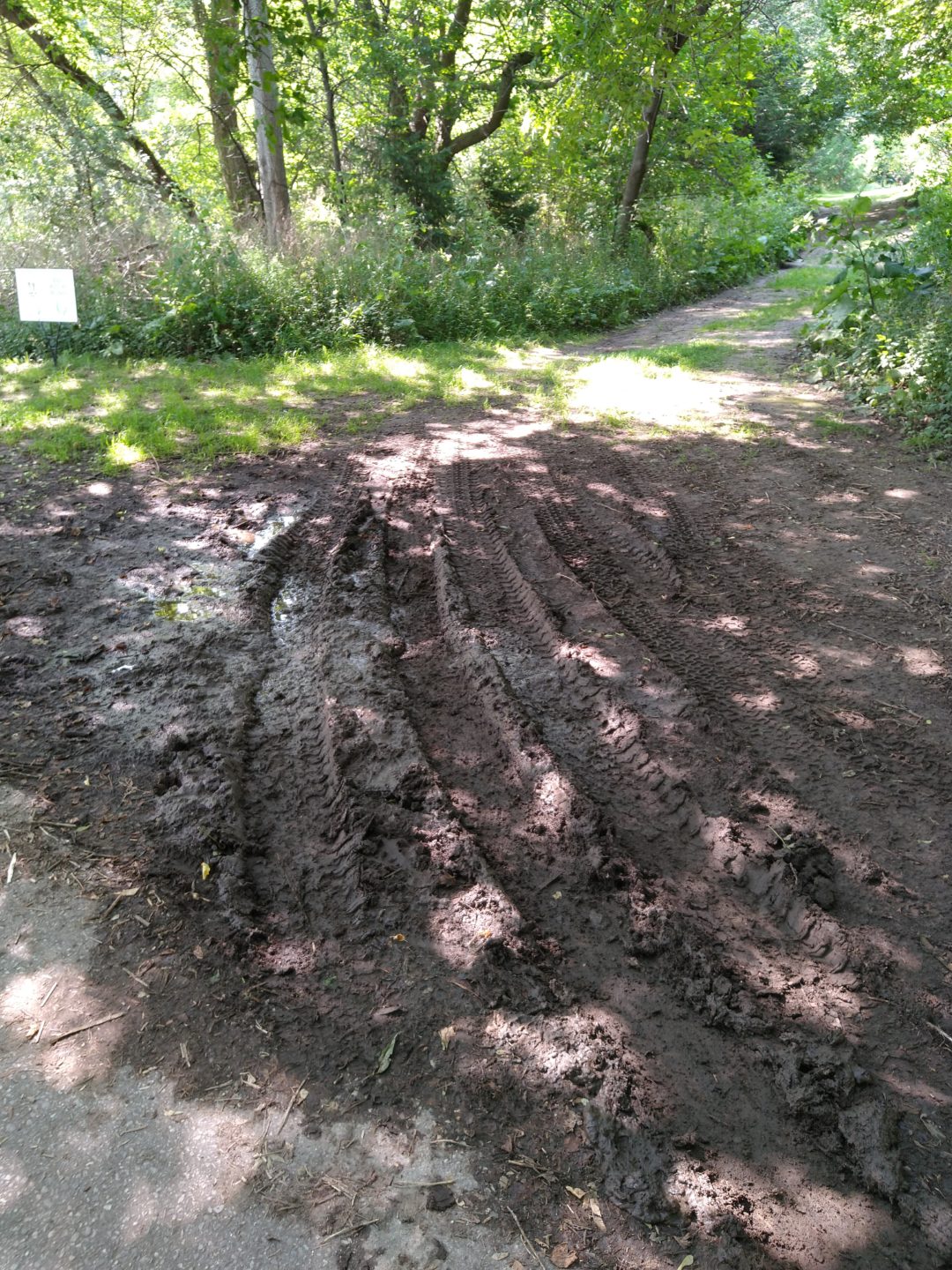 tire_ruts_harbourview – Scripturient